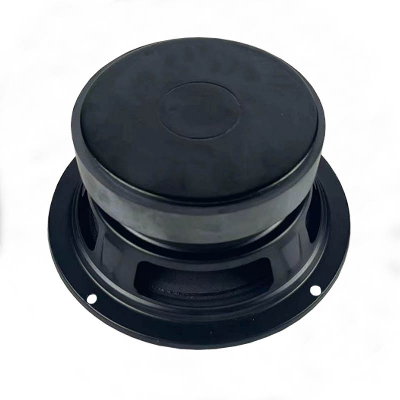 6.5“ midrange speaker 1.5" VC with bullet